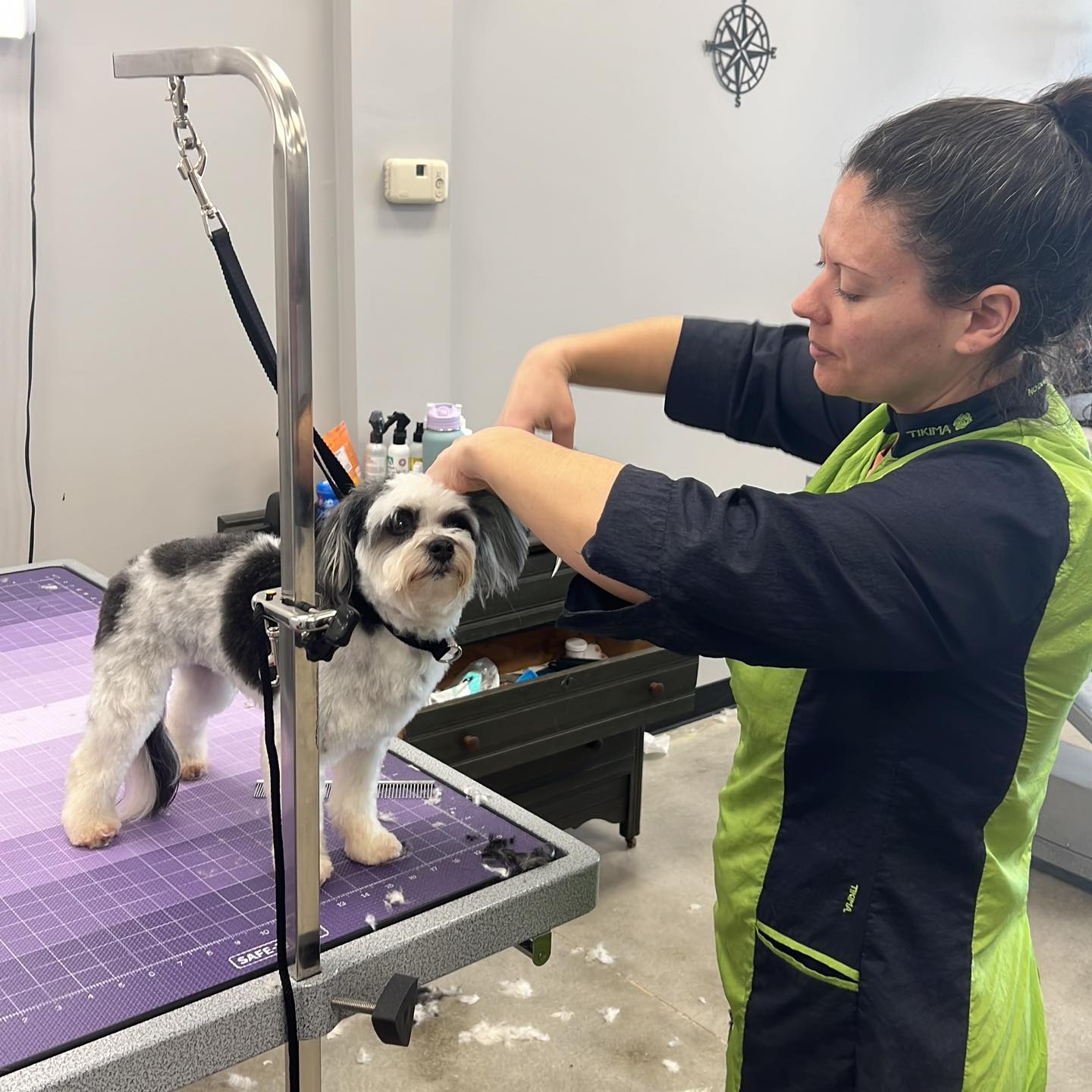 Fur on the Mountain – Professional Grooming Service & DIY Wash Stations